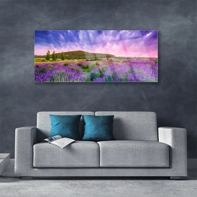 akrylový obraz Louka Květiny Hory Příroda 125x50 cm
