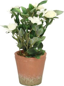 Dekorace White Rose 24cm