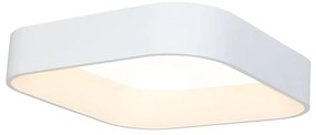 Stropní LED svítidlo Astro, 1x LED 40w, 3000-4000k, w