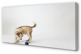 Obrazy na plátně Hrát s tím psem 100x50 cm