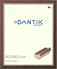 DANTIK rámeček 40x50 | TAIGA hnědá (Sklo Čiré)