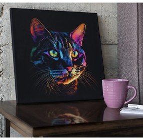Obraz na plátně - barevná kočka FeelHappy.cz Velikost obrazu: 120 x 120 cm