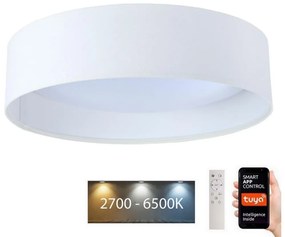 BPS Koncept LED Stmívatelné svítidlo SMART GALAXY LED/36W/230V pr. 55 cm Wi-Fi Tuya + DO BS0606