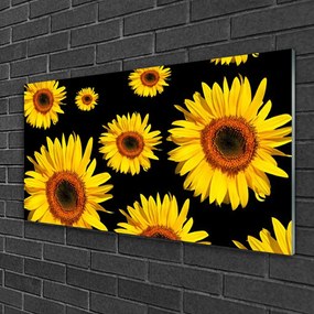 Obraz na skle Slunečnice Rostlina Příroda 120x60 cm
