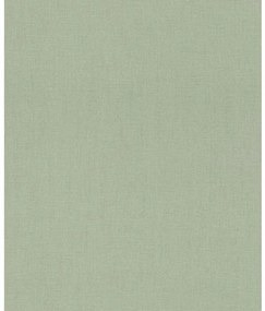 Vliesová tapeta 484588 jednobarevná zelená / Tapety na zeď Florentine III (0,53 x 10,05 m) Rasch