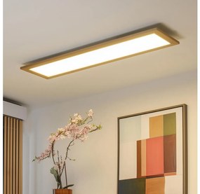 Brilagi - LED Stmívatelné svítidlo SLIMFRAME WOOD LED/58W/230V 124x34 cm + DO