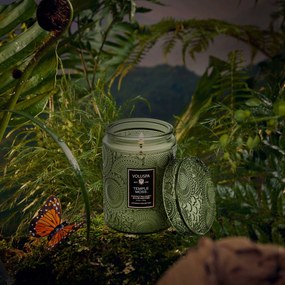 Voluspa svíčka Temple Moss, 156 g