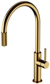 OMNIRES Switch - Dřezová baterie s filtračním zařízením, kartáčované zlato SW9057-FD1GLB