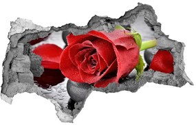 Wallmuralia Samolepící díra na stěnu Červená růže 95x73 cm
