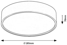 Rabalux 75011 - LED Stropní svítidlo se senzorem LARCIA LED/19W/230V IP44 černá