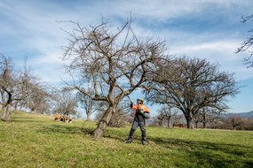Nástavec s vyvětvovací pilou Metabo MA-MS 25