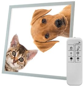 Stmívatelný LED panel s motivem kočka a pes 60x60cm 40W 4200lm CCT, s dálkovým ovládáním