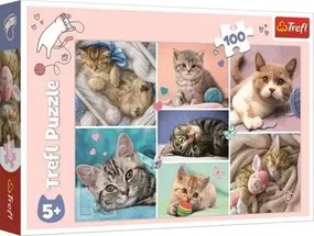 Trefl - Puzzle - V kočičím světě / 100 dílků / 41 x 27.8 cm / věk 5+