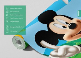 Dětská fototapeta na zed' Hřiště Mickeyho Mouse, Disney | 360 x 254 cm | DFTD 0253