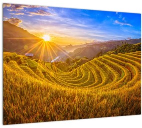 Skleněný obraz - Rýžové terasy ve Vietnamu (70x50 cm)