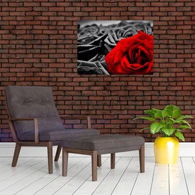 Skleněný obraz - Květy růží (70x50 cm)