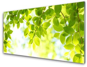 akrylový obraz Listy Příroda Rostlina 140x70 cm