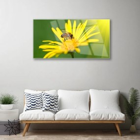 Plexisklo-obraz Vosa Květ Rostlina Příroda 100x50 cm