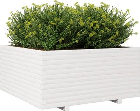 Zahradní truhlík bílý 100 x 100 x 49,5 cm masivní borové dřevo 3282540