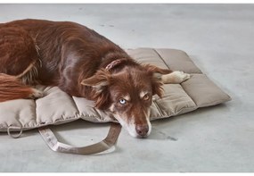 Cestovní deka pro psy MiaCara Strada béžová Velikost: M - 91 x 122 x 2,5 cm