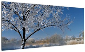 Obraz zamrzlé zimní krajiny (100x40cm)