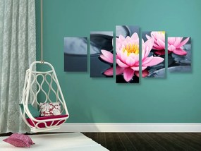 5-dílný obraz lotosový květ v jezeře - 200x100 cm
