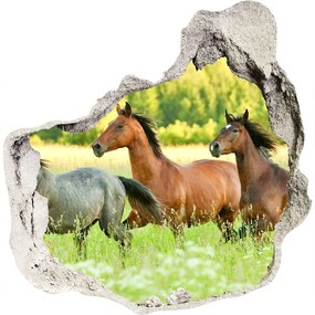 Wallmuralia Díra 3D fototapeta nálepka Koně ve cvalu 75x75 cm