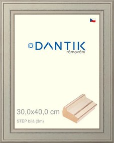 DANTIK rámeček 30x40 | STEP bílá (Plexi Čiré)
