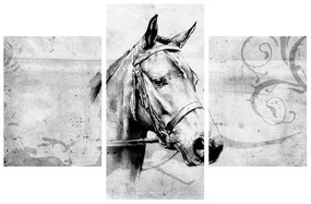 Obraz - portrét koně (90x60 cm)