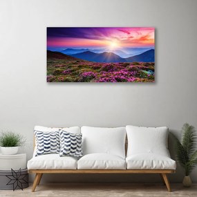 Obraz na plátně Hora Louka Květiny Krajina 125x50 cm