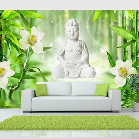 Fototapeta - Buddha a příroda 250x175 + zdarma lepidlo