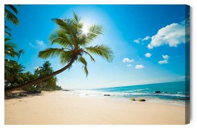 Obraz Bílá Pláž S Palmou Nedostatek Nedostatek Přírodní plátno 90x60