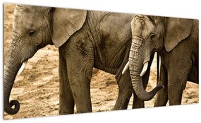 Slon, obraz (100x40cm)