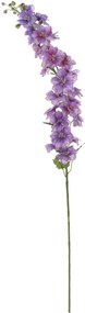 Delphinium fialový květ (Stračka), 130 cm