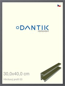 DANTIK rámeček 30x40 | ALU profil 7003 Platina matná (Plexi Čiré)