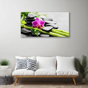 Obraz na plátně Bambus Květ Kameny Umění 120x60 cm