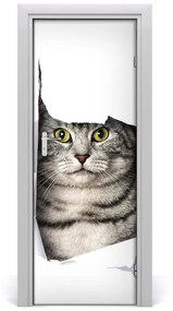 Fototapeta samolepící na dveře kočka v díře 75x205 cm