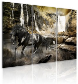 Obraz - Black horse and rocky waterfall
