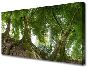 Obraz na plátně Stromy Rostlina Příroda 125x50 cm