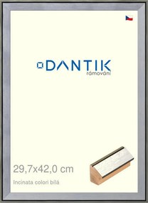 DANTIK rámeček 29,7x42 | INCLINATA colori Bílá (Plexi Čiré)