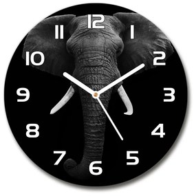 Wallmuralia Skleněné hodiny kulaté Africký slon fi 30 cm