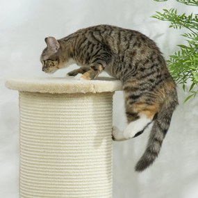 PawHut Kočičí Škrabací Sloupek 85cm Vysoký Škrabací Sloup se Siselovým Lanem, Ochrana proti Nákoncům Kočičí Škrabací Strom pro Středně Velké Kočky, K…
