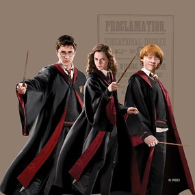 Dekorační polštář Harry Potter CND3155 | 40 x 40 cm