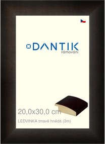 DANTIK rámeček 20x30 | LEDVINKA tmavě hnědá (Sklo Čiré)