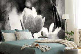 Samolepící tapeta černobílé tulipány v retro stylu - 300x200 cm