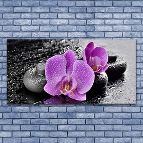 Plexisklo-obraz Orchidej Květiny Kameny Zen 120x60 cm