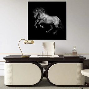 Obraz Kůň (Rozměr obrazu: 70x70)
