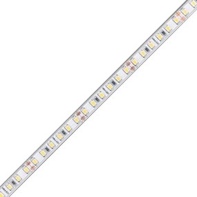 LED pásek McLED 24V teplá bílá CRI90 š=10mm IP67 9,6W/m 120LED/m SMD2835 ML-126.008.90.2