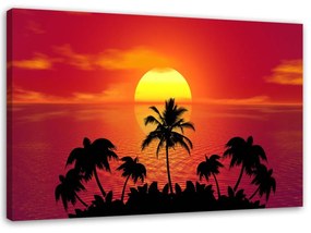 Obraz na plátně, Tropické palmy při západu slunce - 90x60 cm