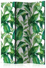 Paraván Tropical Paradise Dekorhome 135x172 cm (3-dílný)